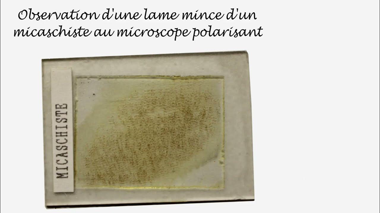 Observation d'un micashiste au microscope polarisant - YouTube