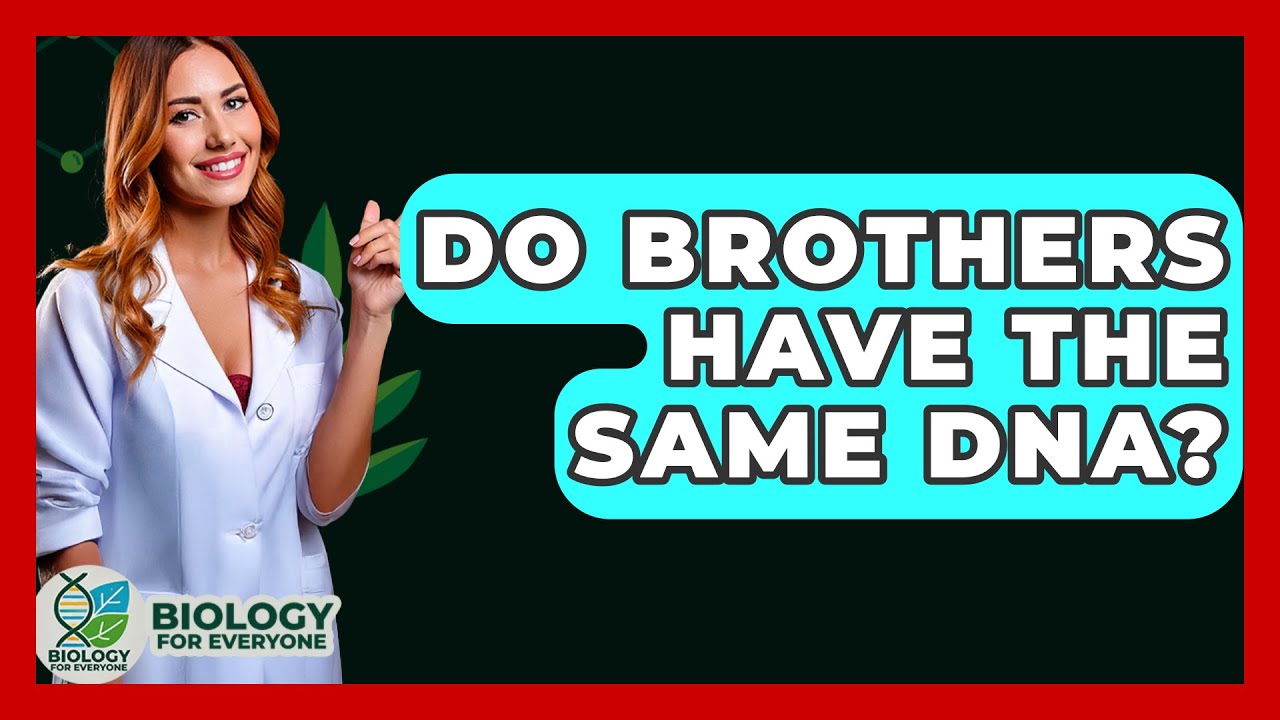 Do Brothers Have The Same DNA? - Biology For Everyone - YouTube
