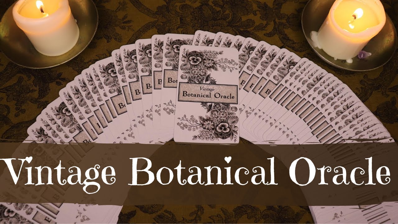 Vintage Botanical Oracle | A DIY Oracle Deck | Walkthrough - YouTube