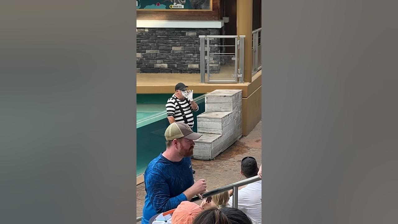 Tom Mime Seaworld Seaworldmime Youtube