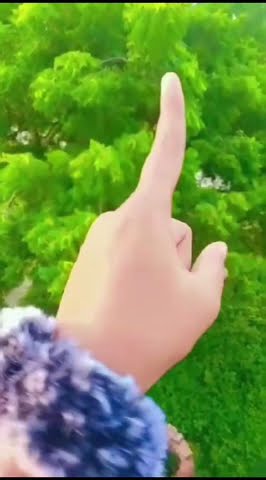 Ek bari dekh kr tu #lovestatus # Naaz pari ️ - YouTube