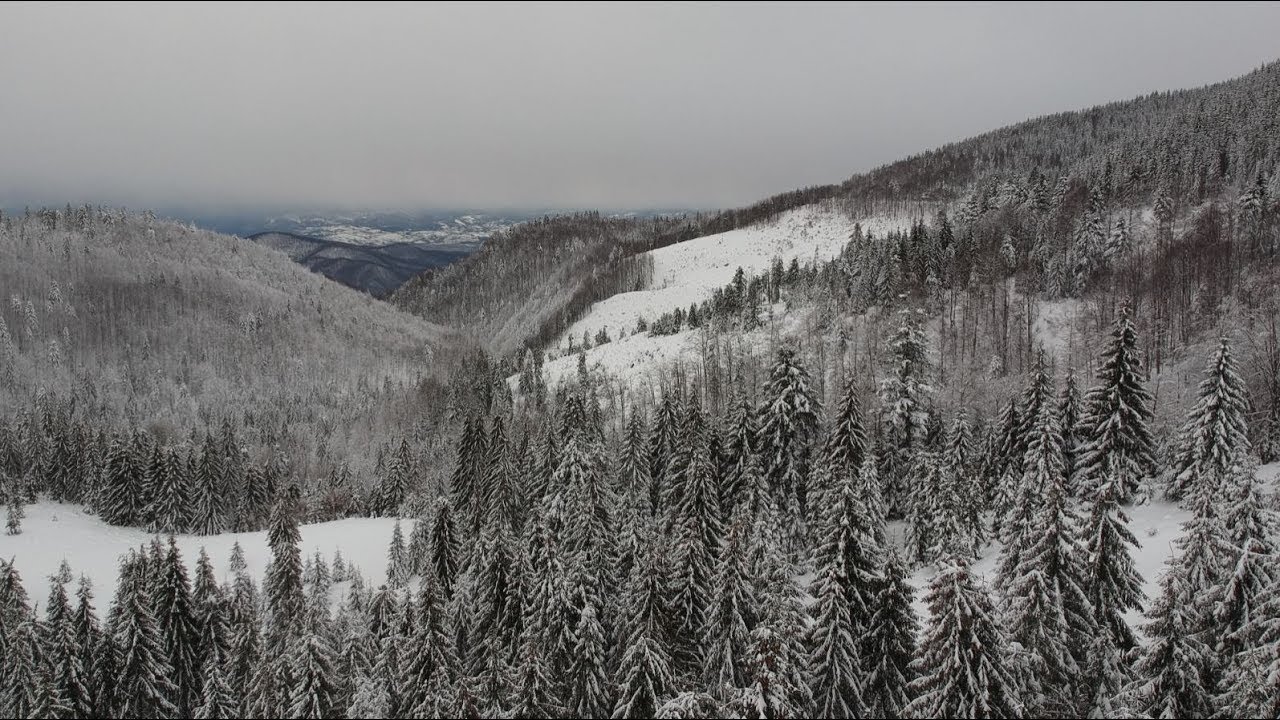 Mountains in Arieseni Romania, filmed with DJI Spark - YouTube