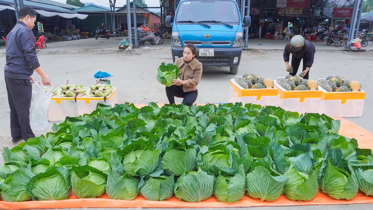 Use Barrel Truck Transport Many Cabbage Go To Sell - Harvest Lots Of ...
