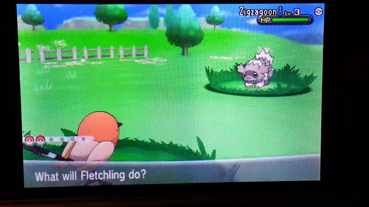Shiny Fletchling Pokemon X (Via Masuda Method) - YouTube