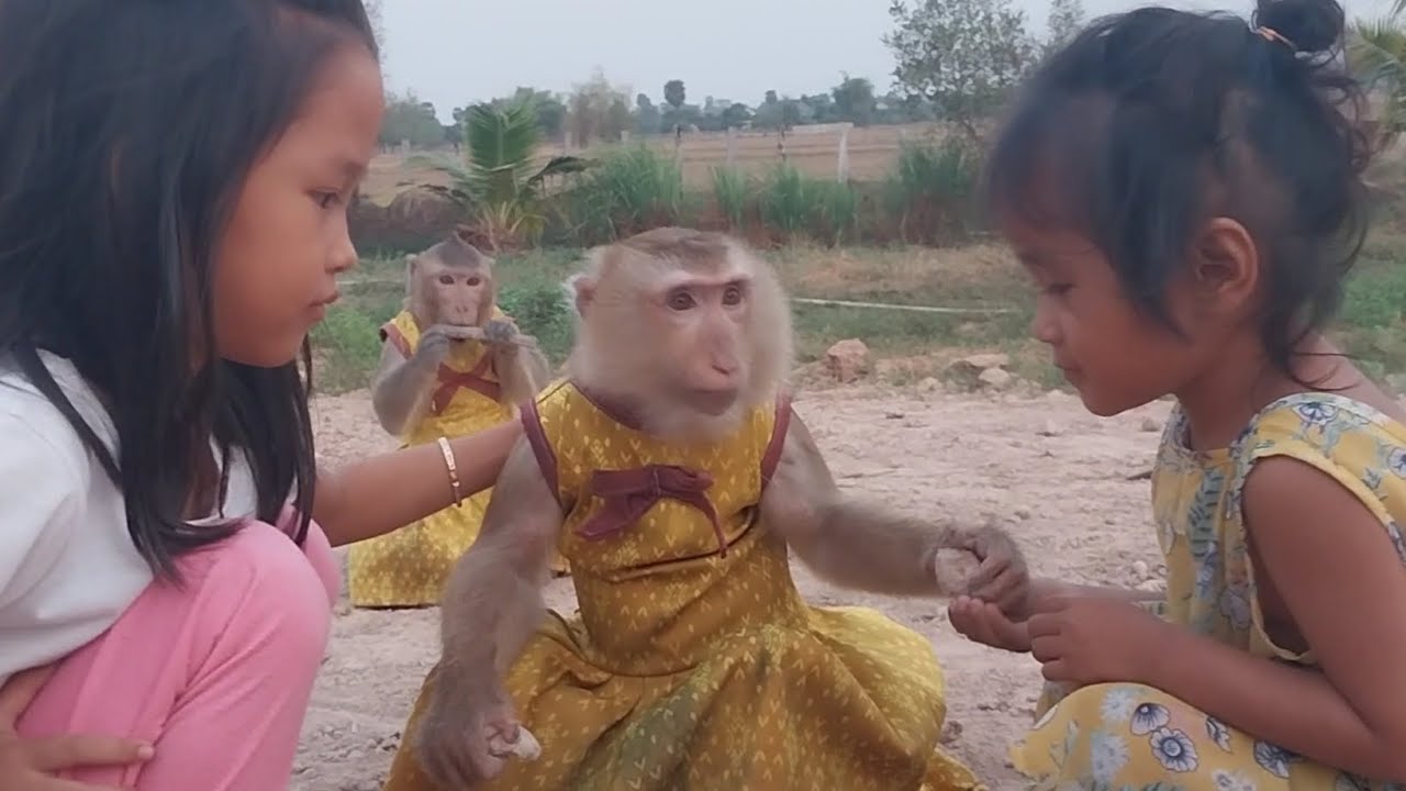 Yaya Likes To Make Friends 😚 - YouTube