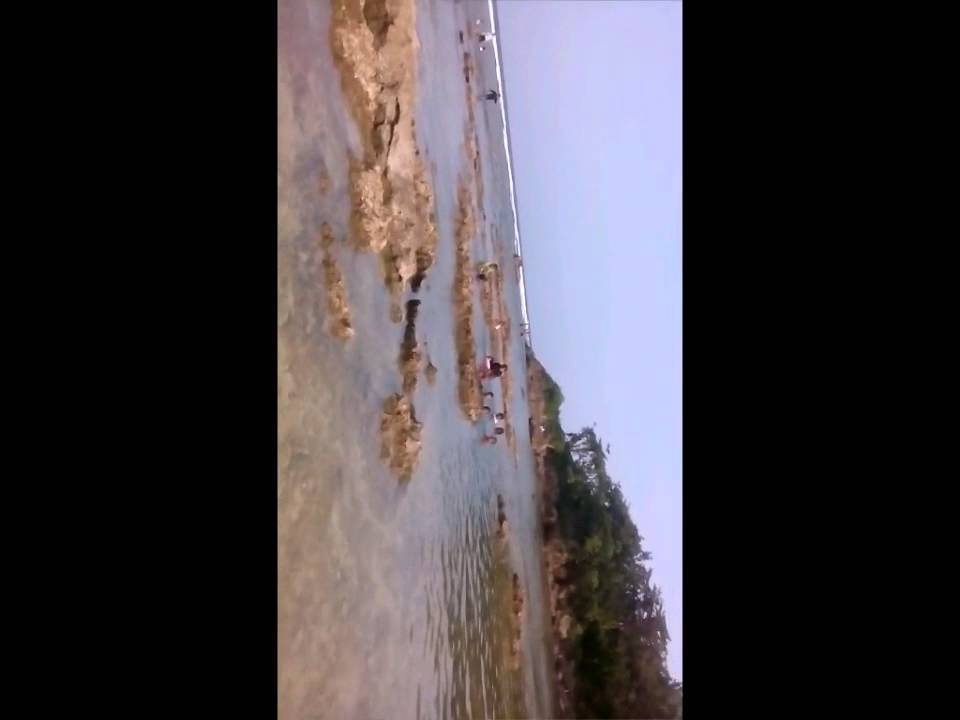 Punta Maria Beach Resort - YouTube