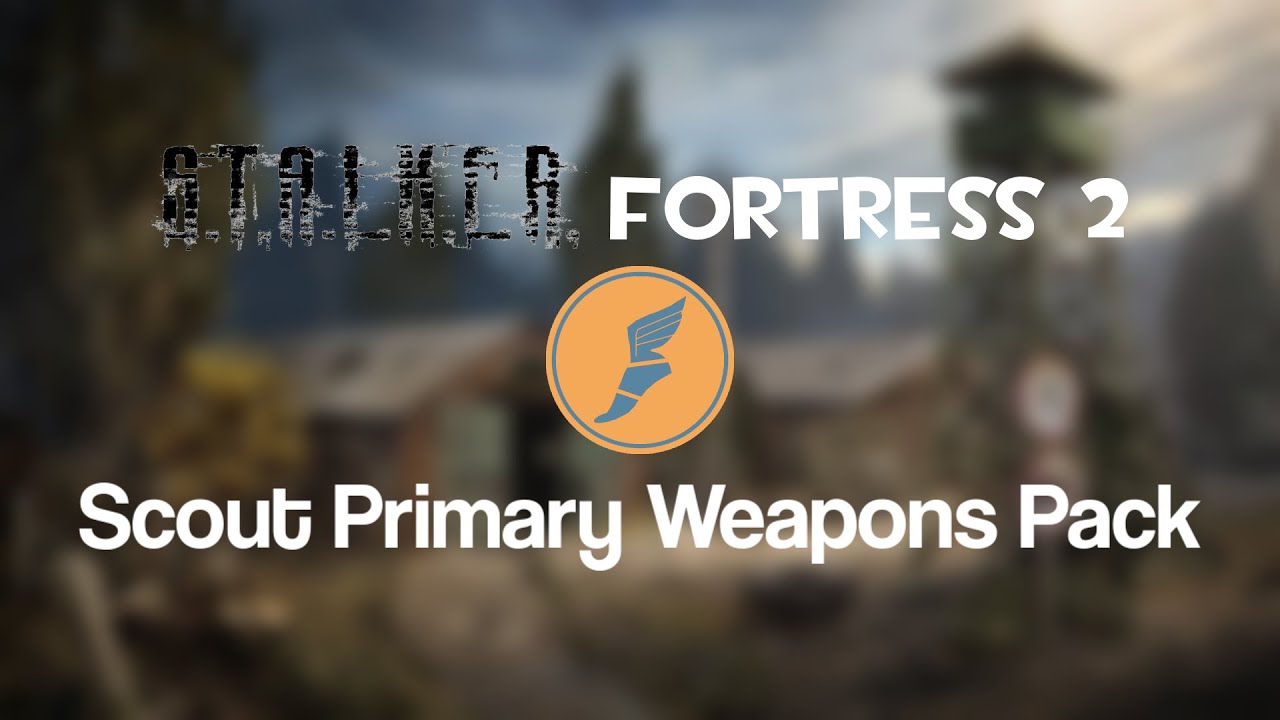 S.T.A.L.K.E.R Fortress 2 Scout Primary Weapons Pack - YouTube