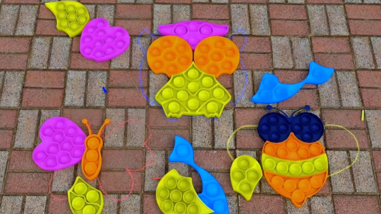 Pop it Fidget | Animal Puzzle - YouTube