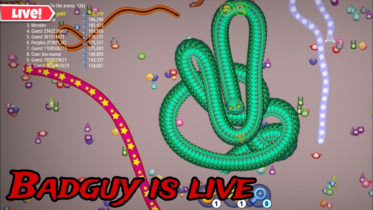 Worms Zone Max Level Stream 👍 - YouTube