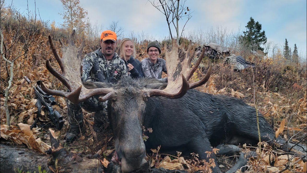 Wyoming Moose: A Once in a Lifetime Hunt. - YouTube