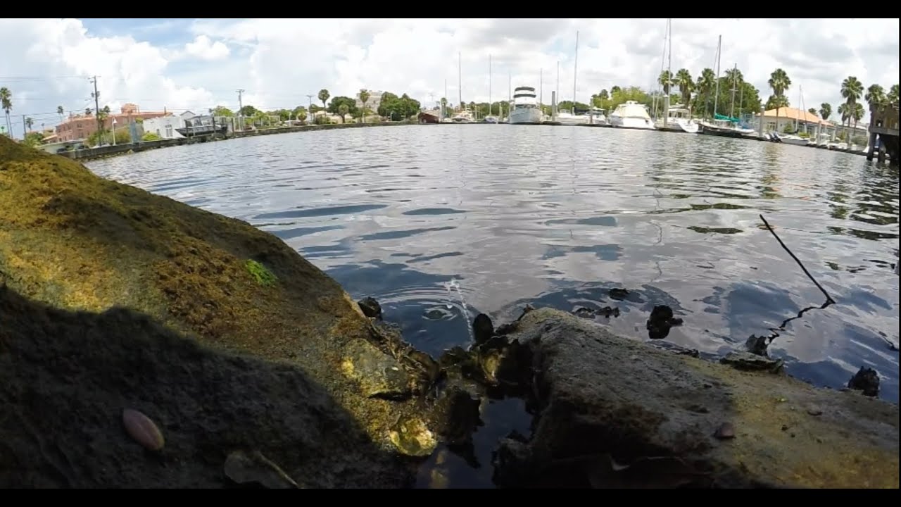 Spitting Rocks - YouTube