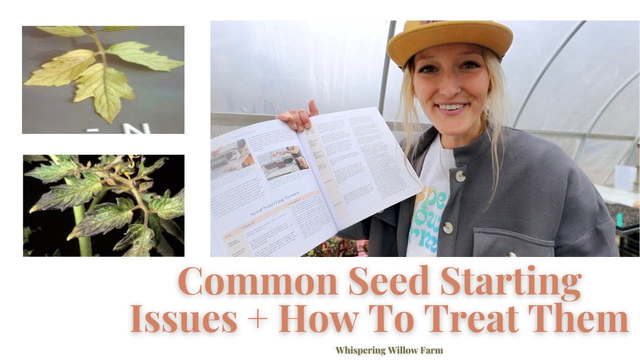 Common Seed Starting Issues & How To Treat Them - YouTube