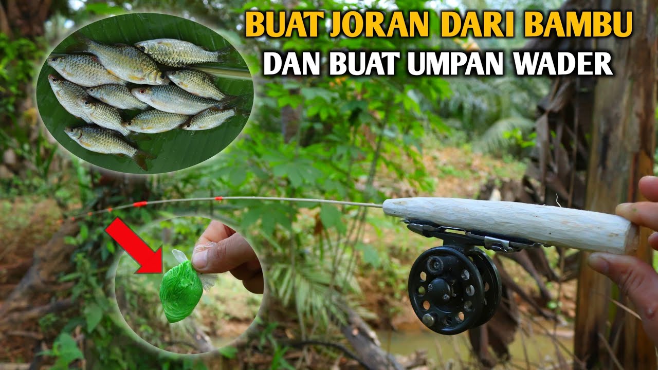 Buat pancing lentur dari bambu membuat umpan ampuh untuk wader, dan ...