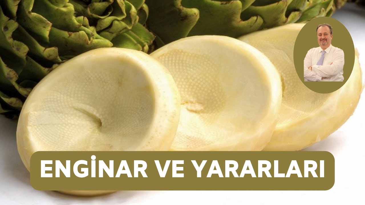 ENGİNAR VE YARARLARI - YouTube