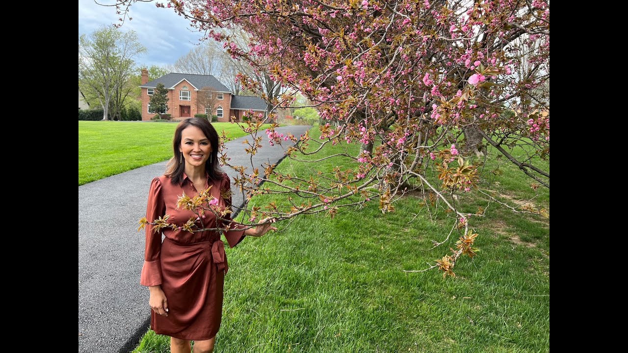 Tour this Gorgeous Luxury Estate 996 Springvale Road, Great Falls, VA ...