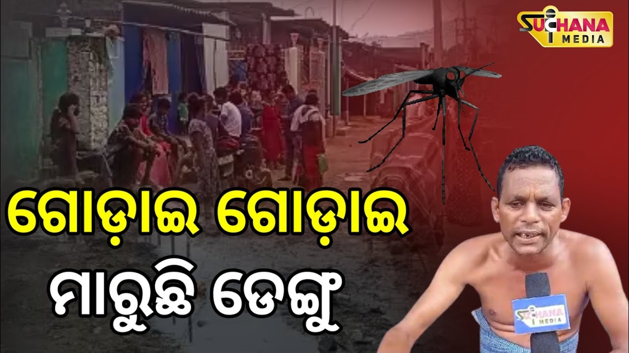 Dengue In Odisha Rayagada District || Dengue is playing terror in ...