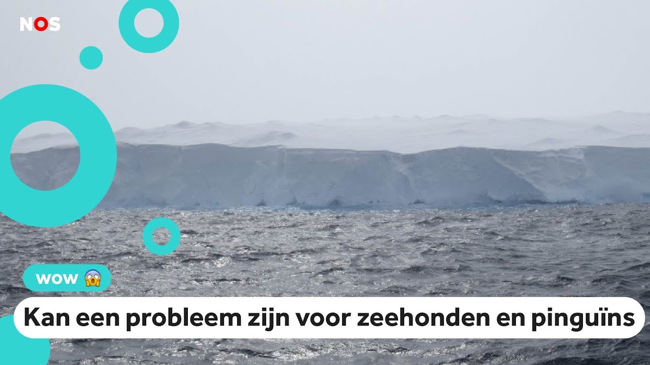 De grootste ijsschots ter wereld is op reis - YouTube