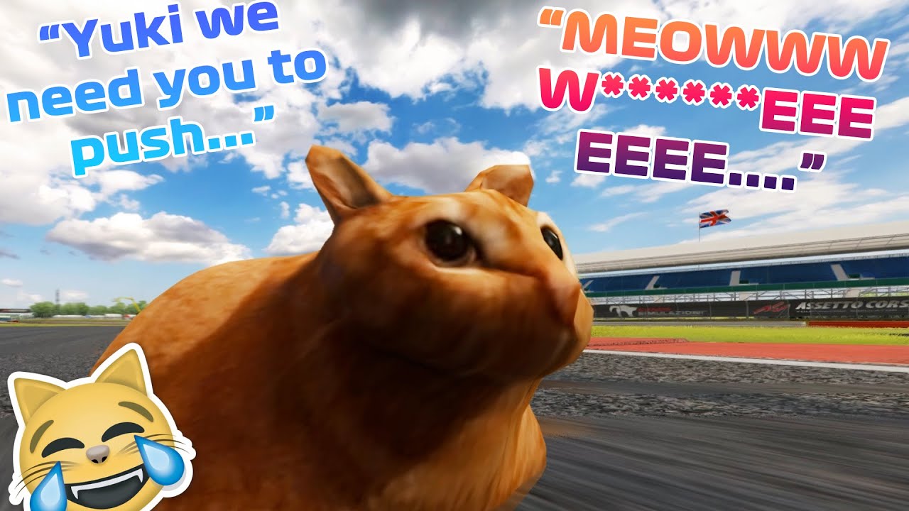 FORMULA 1 TEAM RADIO but they're CATS! - YouTube