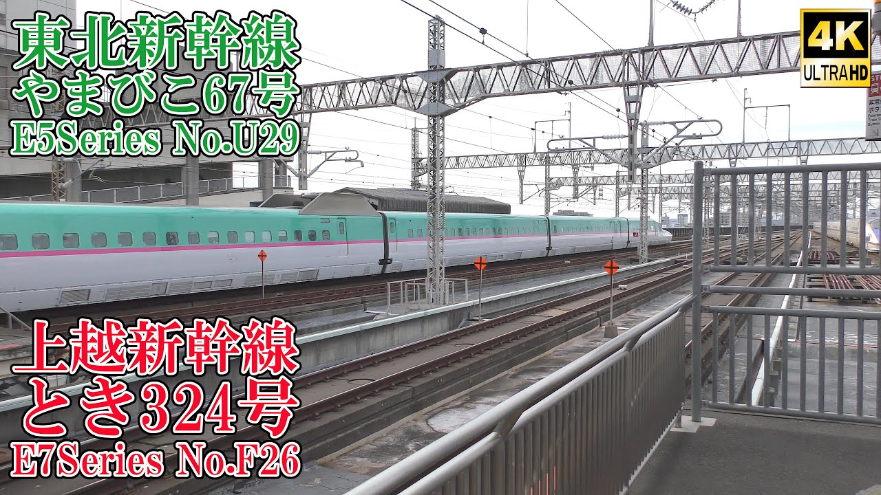東北新幹線やまびこ67号＆上越新幹線とき324号 E5系U29編成 E7系F26編成 240620 JR Tohoku Shinkansen Omiya Sta. - YouTube