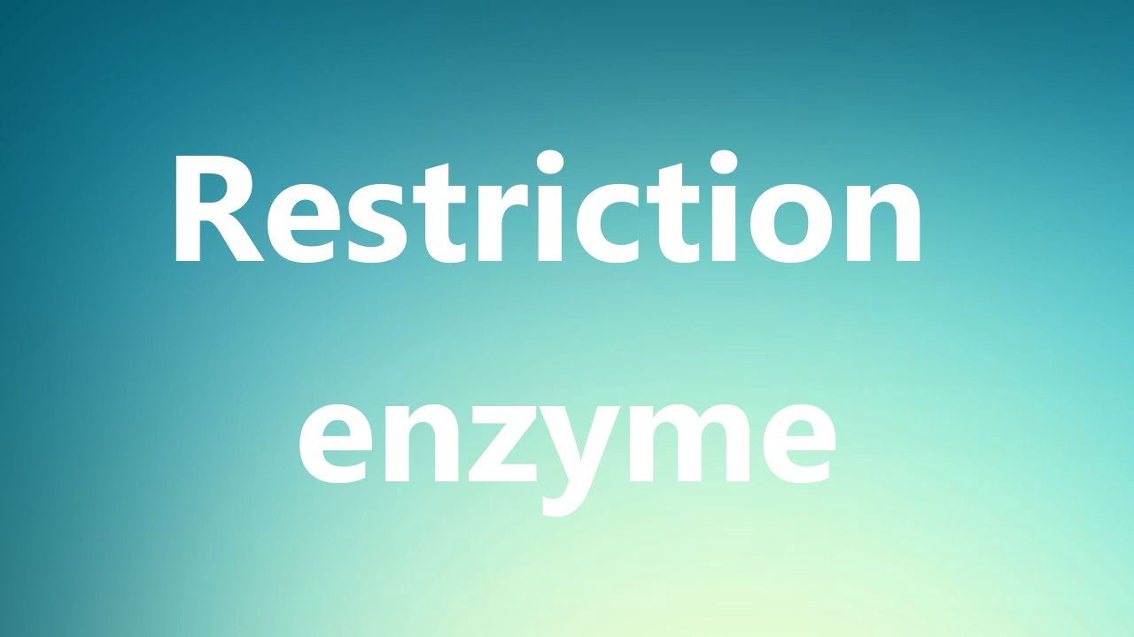 Restriction enzyme - Medical Definition and Pronunciation - YouTube