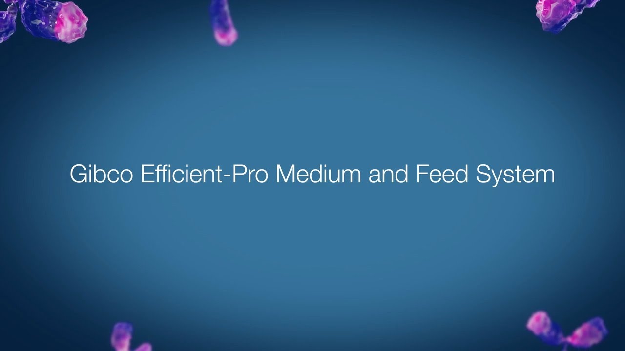 Why Choose the Gibco™ Efficient-Pro™ Media and Feeds System for CHO ...