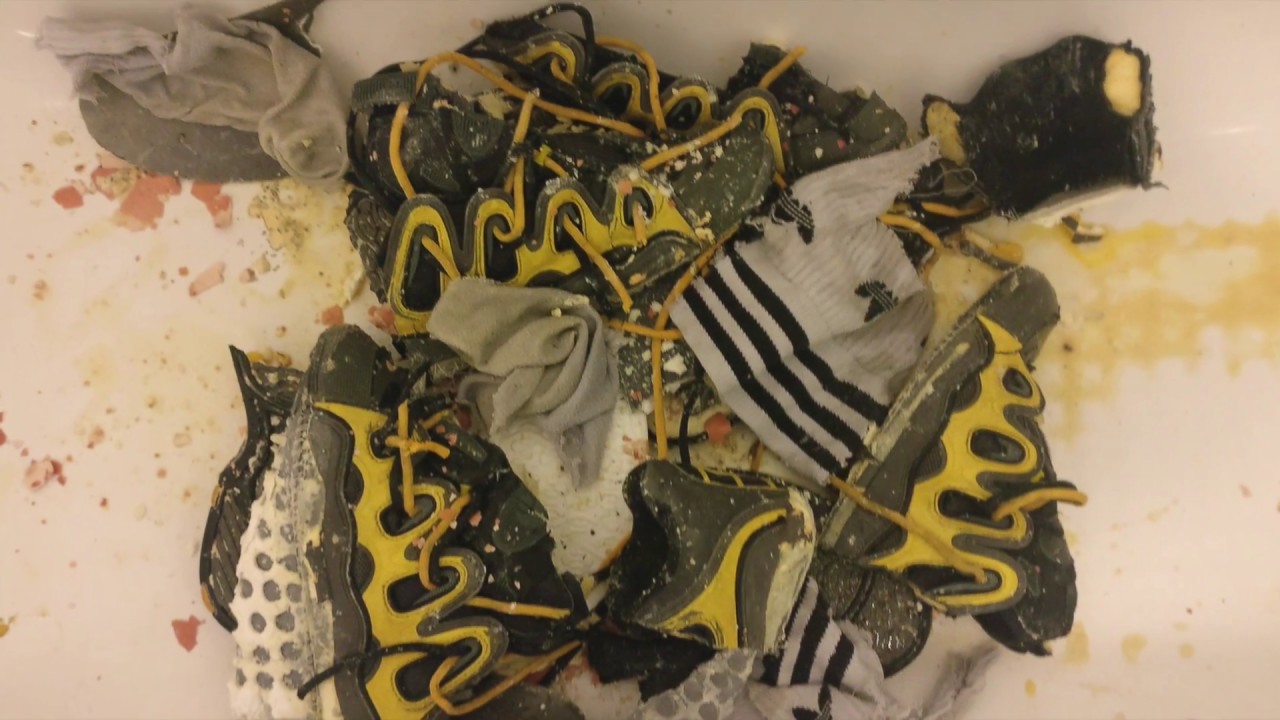 Osiris D3 messy and trash - part 2 - YouTube