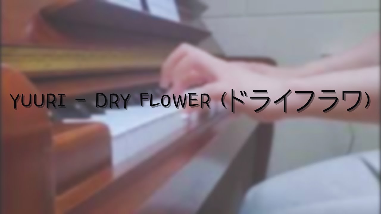 Yuuri - Dry Flower (ドライフラワ) (piano cover) - YouTube