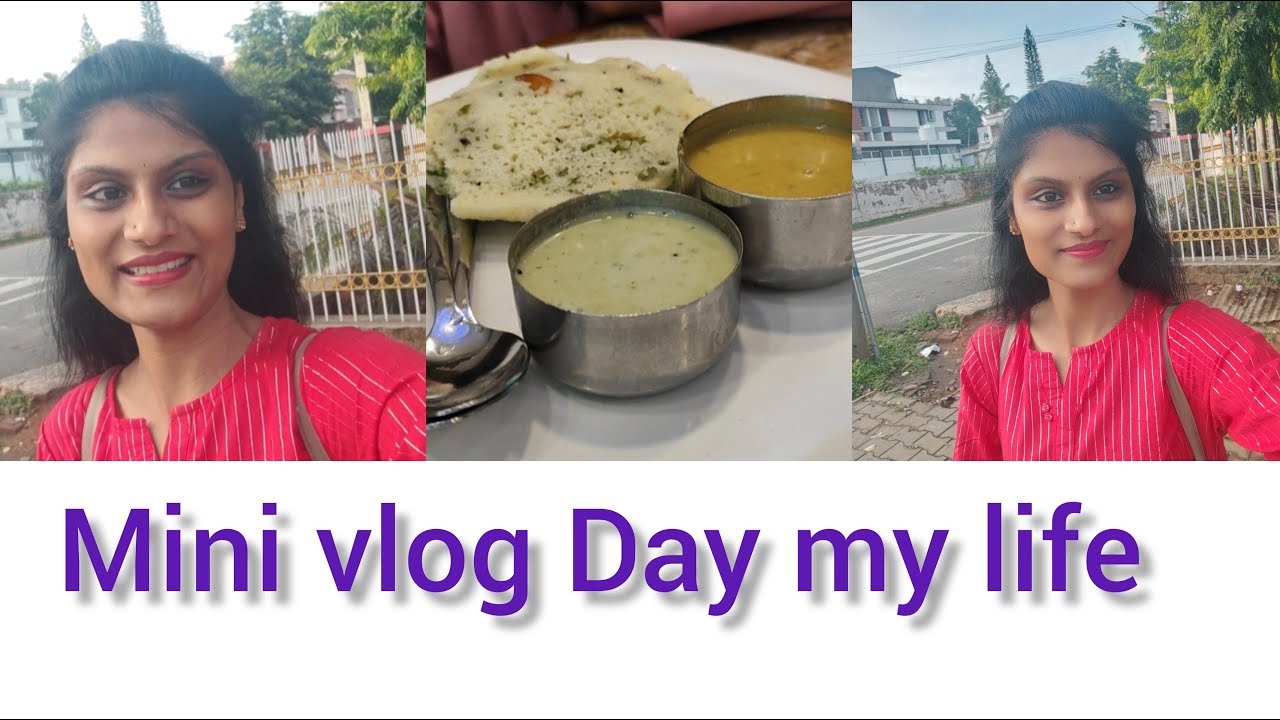 A Day in My Life | Mini Vlog | kannada vlog | Shanthir369#travelvlog# ...