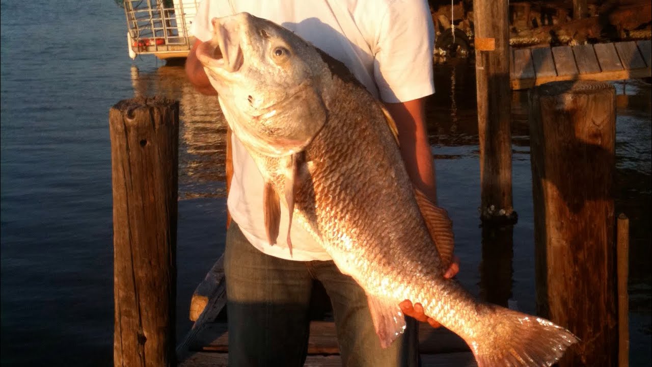 Monster PB - YouTube