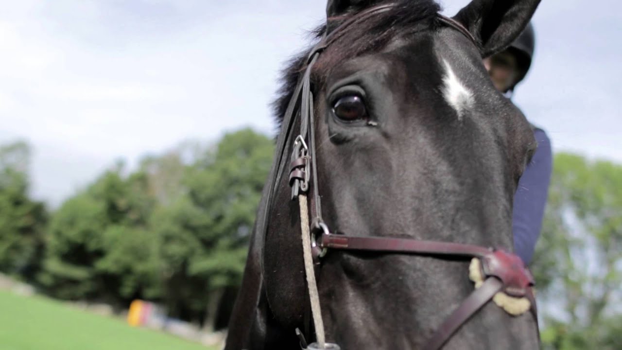 Connecticut Equestrian Estate // 341 Rock House Rd in Easton, CT - YouTube