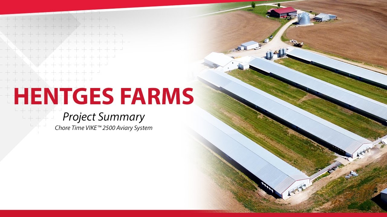 Chore Time VIKE™ 2500 Aviary System - Hentges Farms Project Summary ...