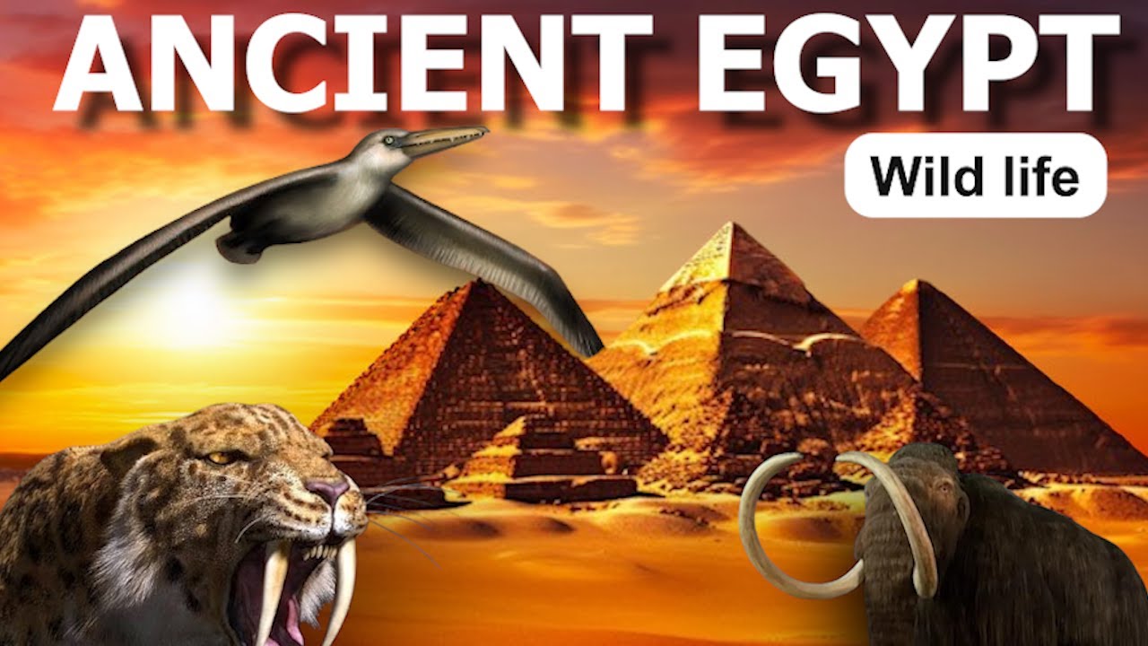 Ancient Egypt's Extinct Animals: Wildlife Pharaohs Knew. - YouTube
