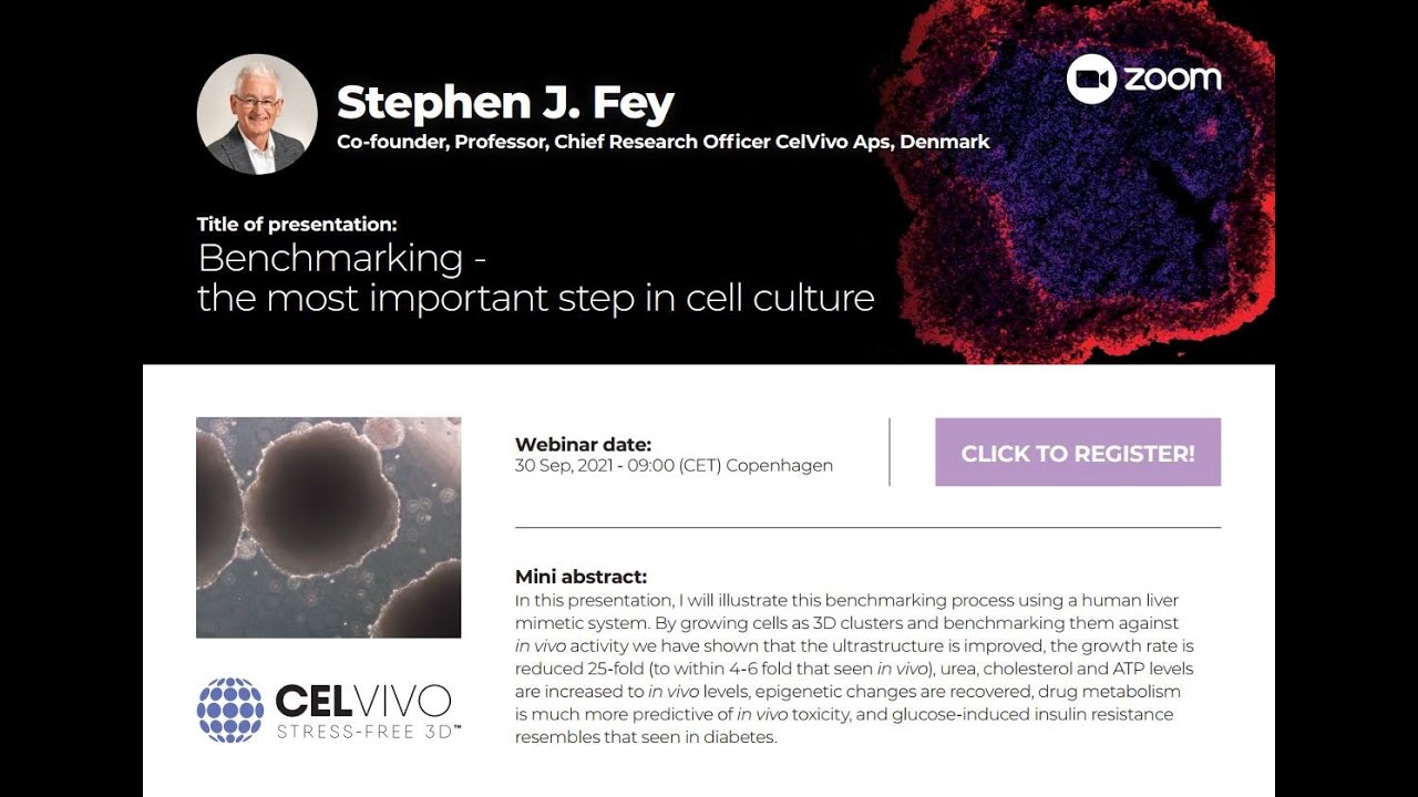 Benchmarking - the most important step in cell culture by Stephen J ...