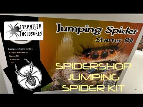SPIDERSHOP jumping spider kit - YouTube