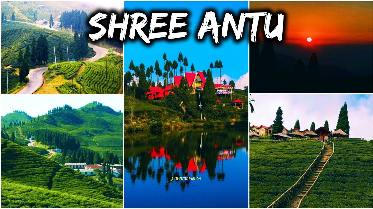 Shree Antu Vlog / Shree Antu Ilam / Shree Antu Ilam Nepal / Shree Antu ...