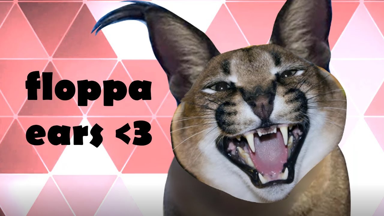 floppa ears (floppy ears meme) - YouTube