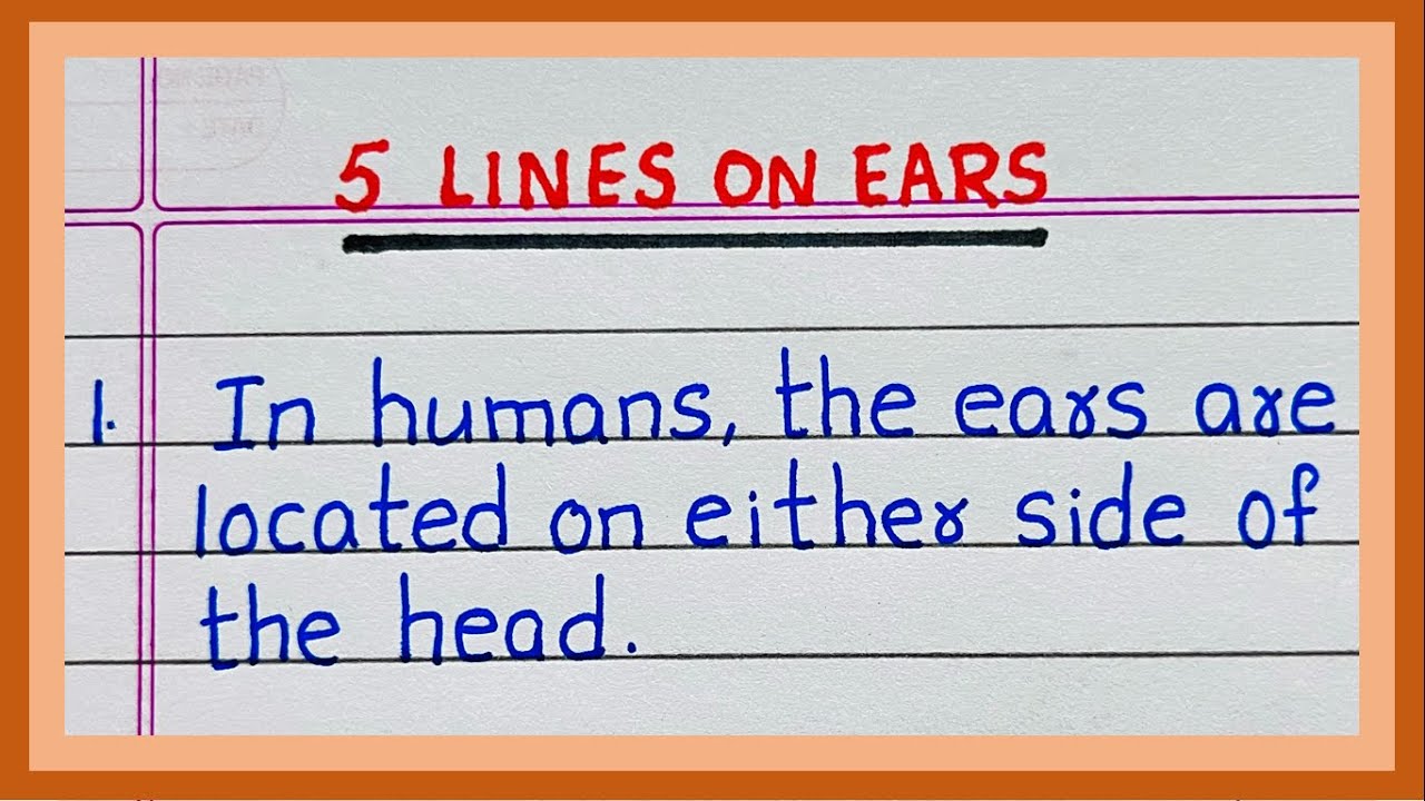 Few Lines on Ears | ear | 5 Lines on ear | in English - YouTube