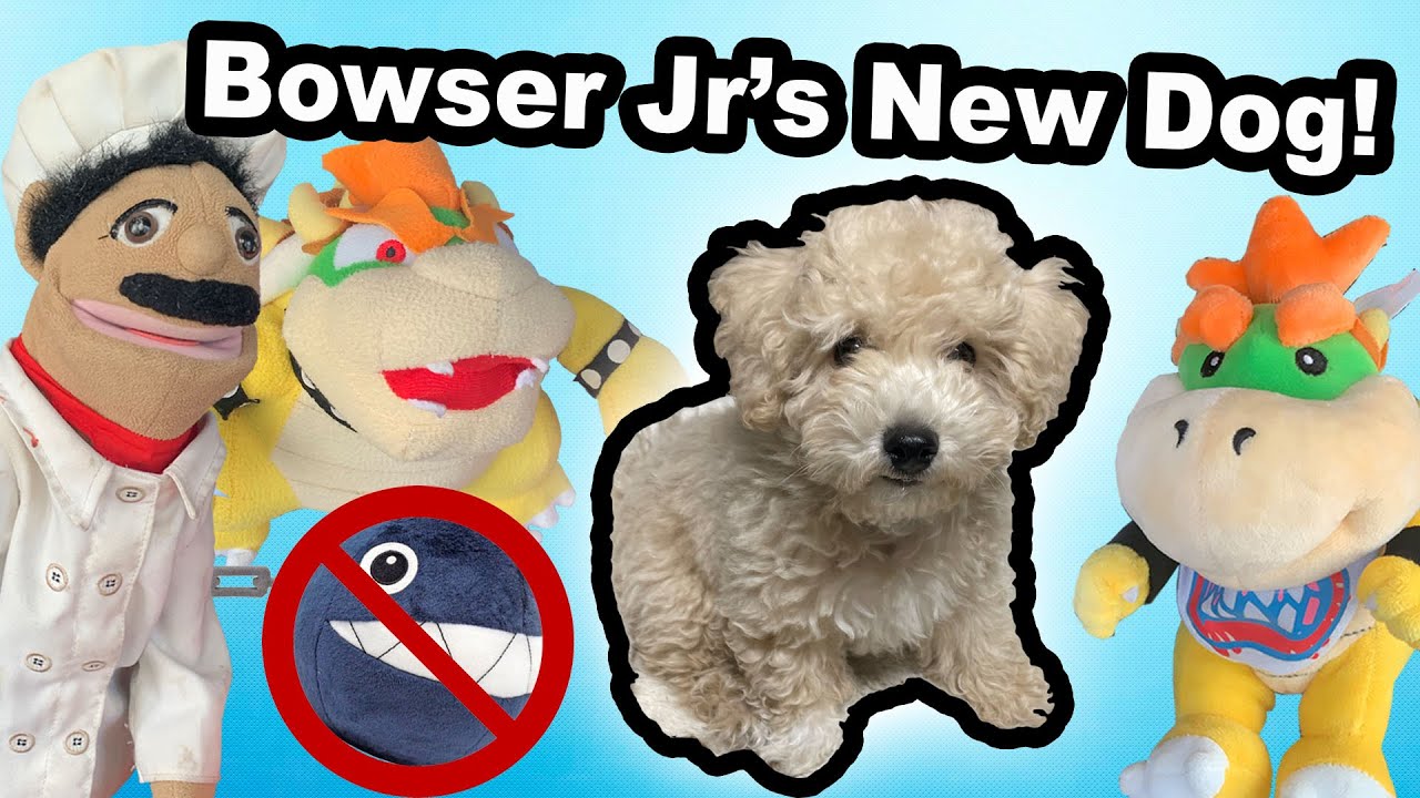 SMF Movie: Bowser Jr's New Dog! - YouTube