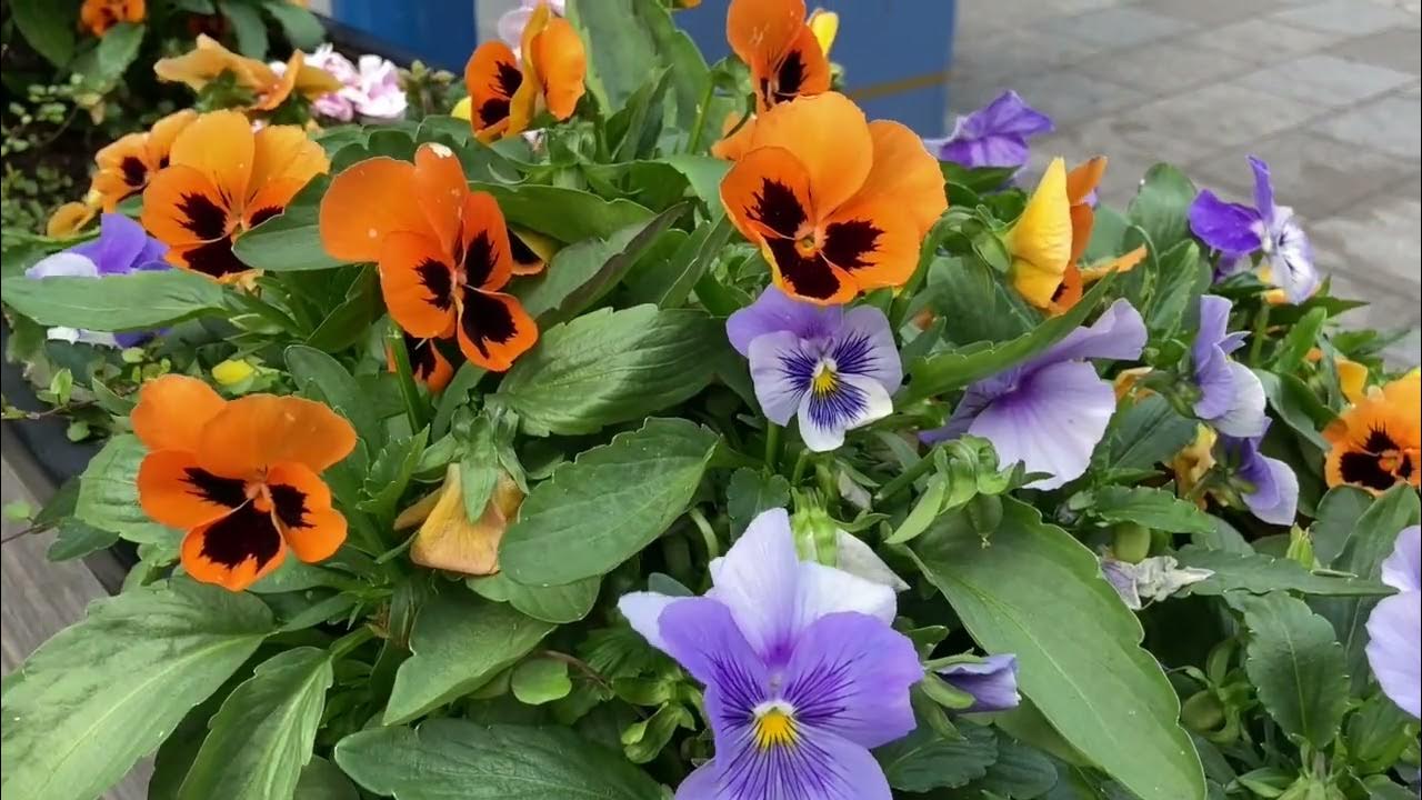 90s by ThinkChill 𝐩𝐥𝐚𝐲𝐥𝐢𝐬𝐭 𝐟𝐨𝐫 𝐬𝐭𝐮𝐝𝐲𝐢𝐧𝐠 | 𝐜𝐚𝐥𝐦 𝐩𝐥𝐚𝐲𝐥𝐢𝐬𝐭 𝐭𝐨 𝐫𝐞𝐥𝐚𝐱 | Calmati Music - YouTube