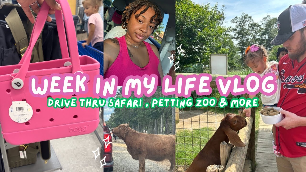 Weekly vlog: Drive Thru Safari + Petting Zoo | Getting A New Bogg Bag ...
