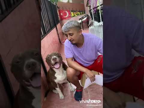 sato keser tiktok videosu
