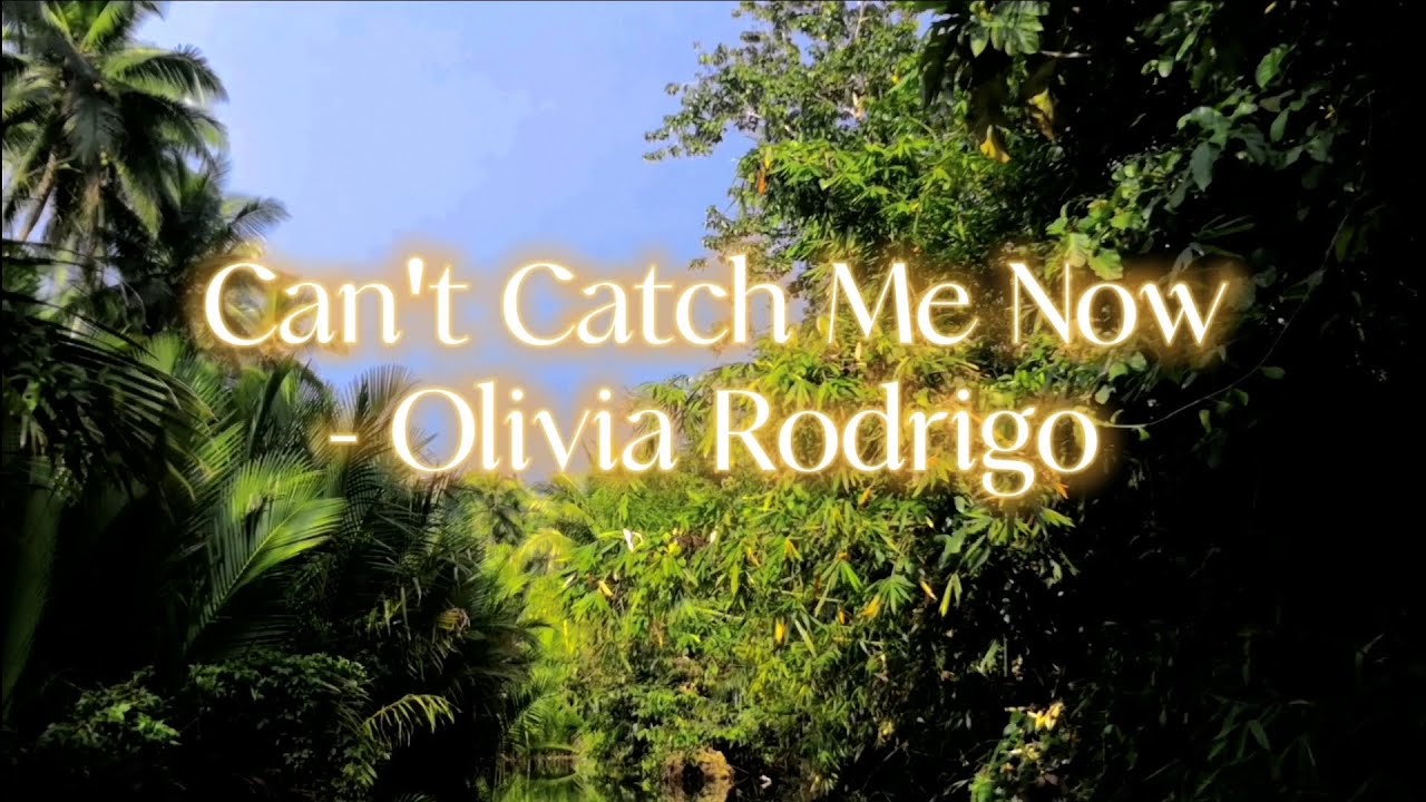 Can't Catch Me Now - Olivia Rodrigo (The Hunger Games: The Ballad of ...