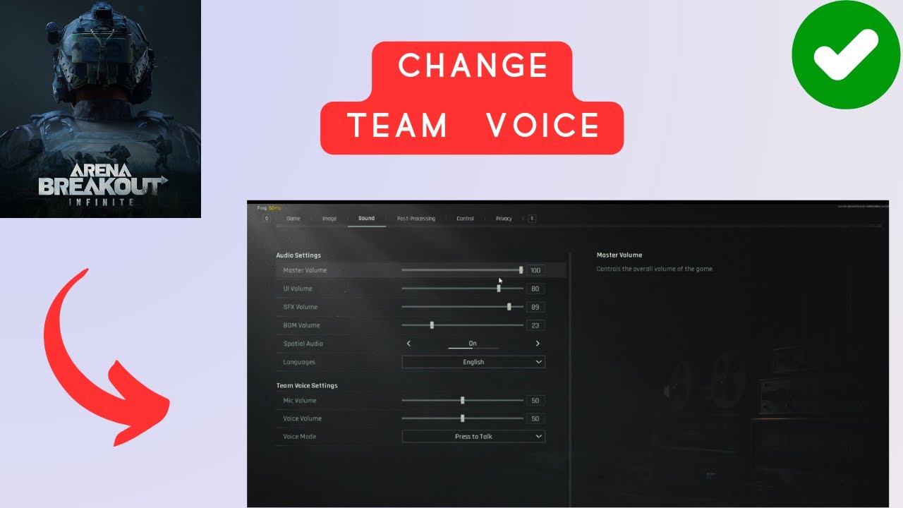 How to Change Team Voice Settings in Arena Breakout Infinite - YouTube