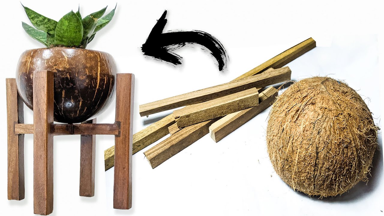 Plant Pot Ideas Using Coconut Shells | DIY Coconut Shell Plant Pots ...