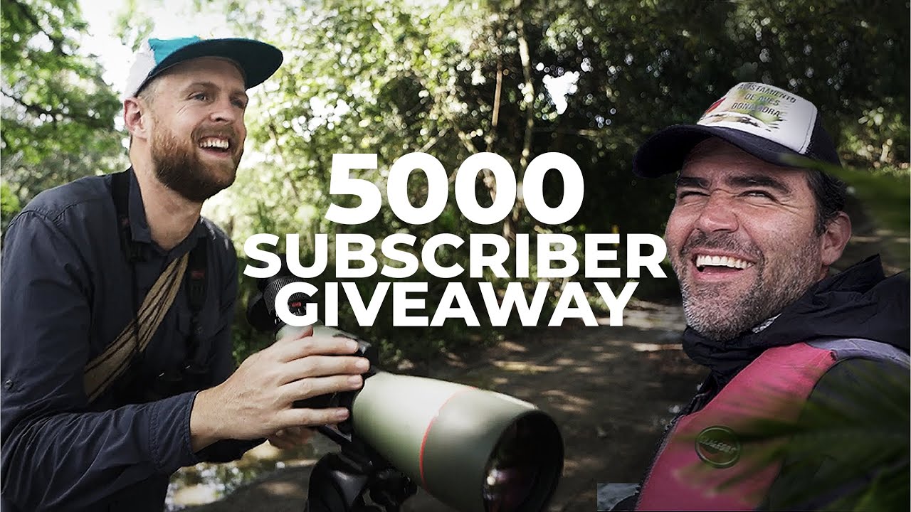 Thanks for 5,000 Subscribers! Special Giveaway! - YouTube