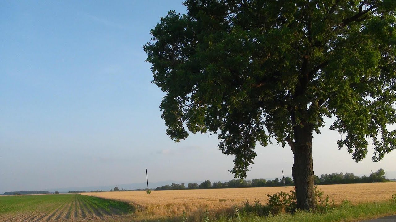 Na kraju dana - Slike sa slavonskih polja - YouTube