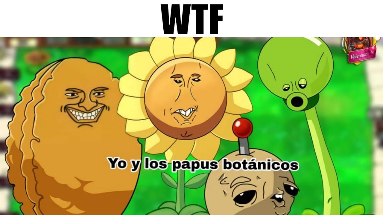 1 HORA DE MEMES RANDOM DE PVZ - YouTube