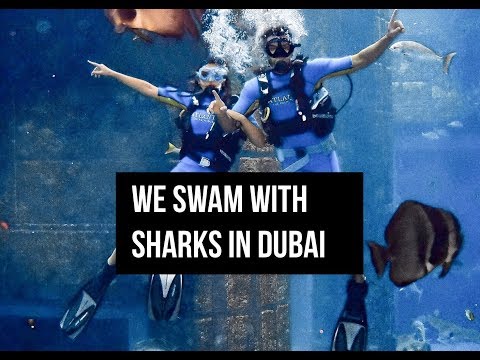 WE SKY DIVED & SWAM WITH SHARKS IN DUBAI | Chloe Lloyd & Josh Cuthbert | The Lloyd - Cuthberts