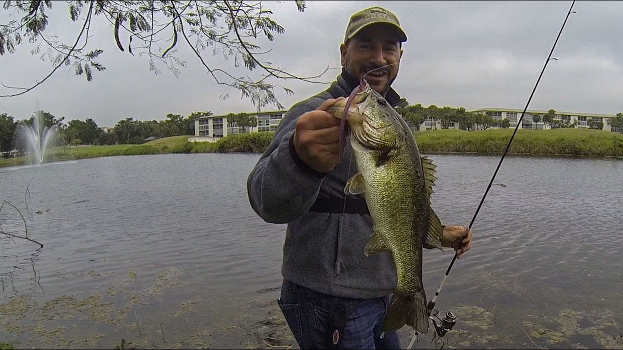 Finesse Bass Fishing in a Florida Golf Course Pond (COLD FRONT ...