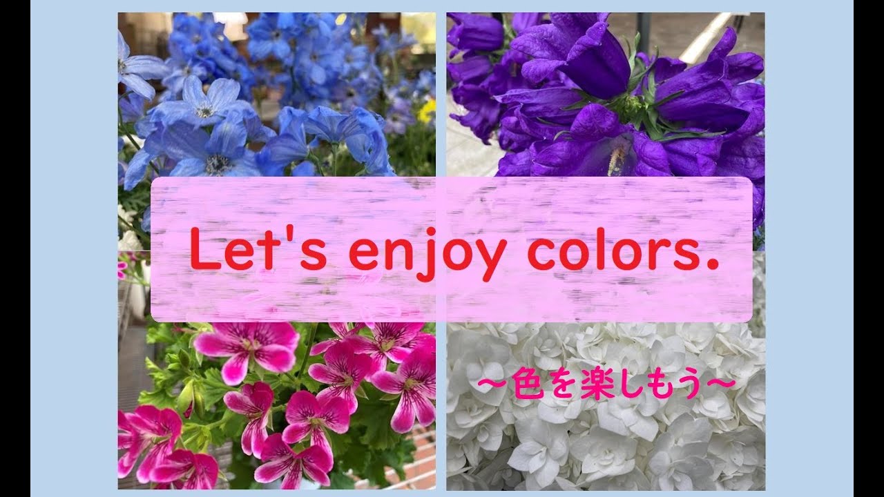 Let's enjoy colors. ~色を楽しもう~ - YouTube